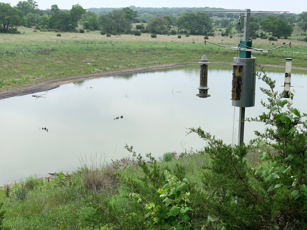 Dripping Springs Ranch Park – Dripping with Kids