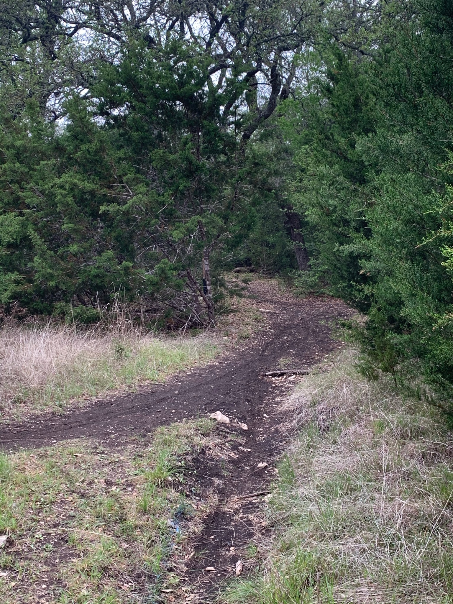 Dripping Springs Ranch Park – Dripping with Kids