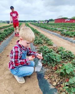 Dripping with Kids – Family Fun in the Texas Hill Country