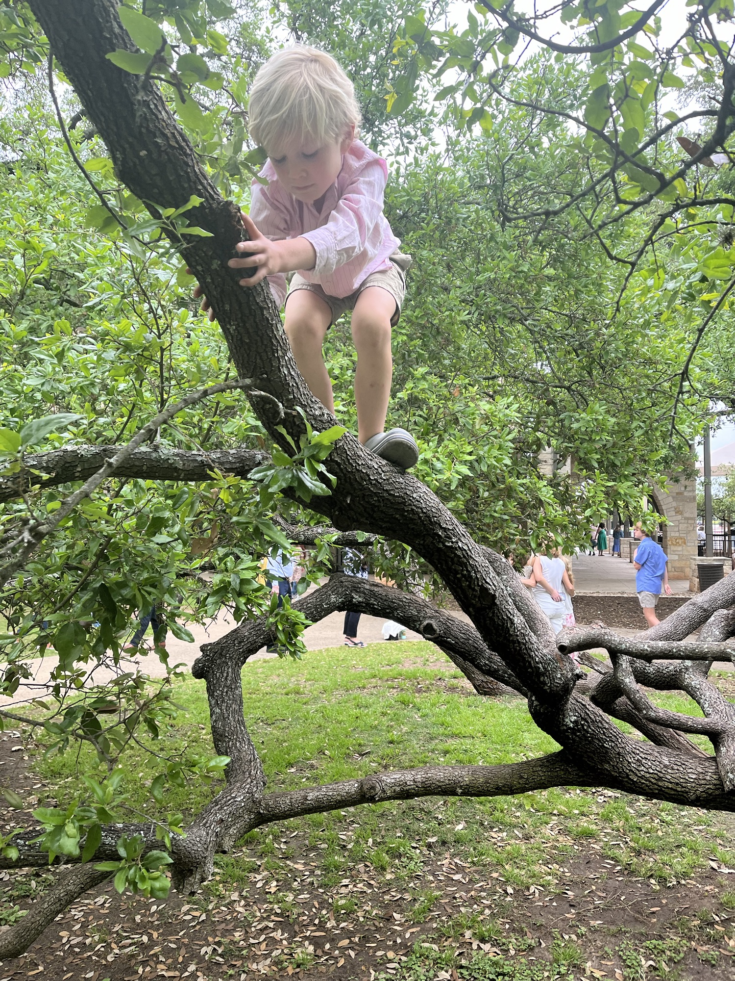 Find your Mom Tribe – Dripping with Kids